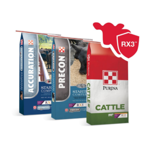 Purina Beef Calf Starters with RX3 Immune Support Technology - Ark ...